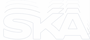 Single - Cursos - SKA
